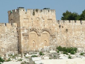 The glory of the LORD entered the temple by the gate facing east ...